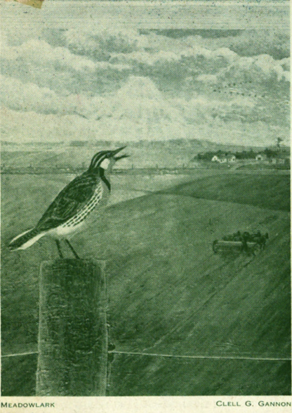 Clell Gannon on the Missouri – North Dakota Quarterly